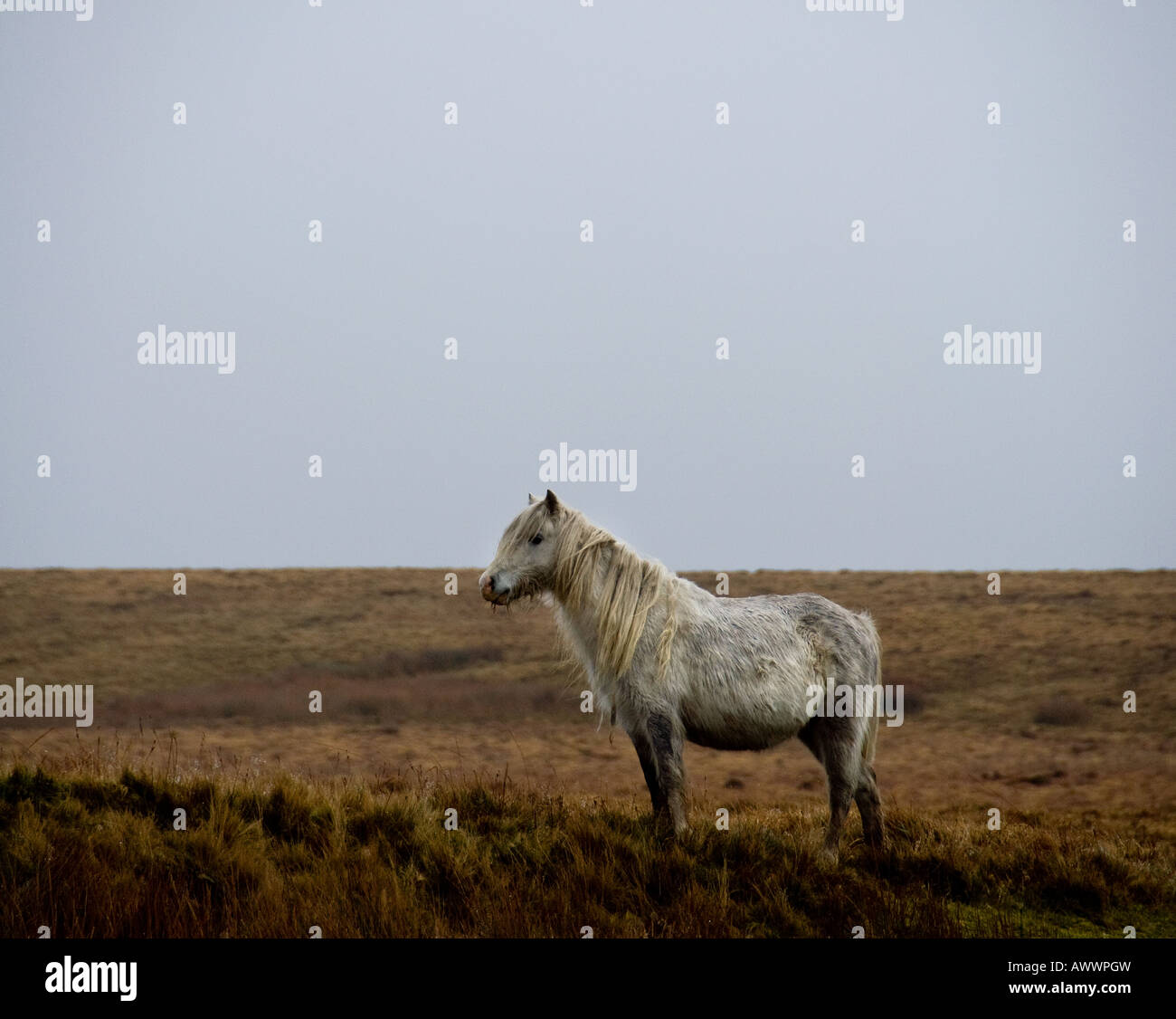 Llangynidr moor hi-res stock photography and images - Alamy