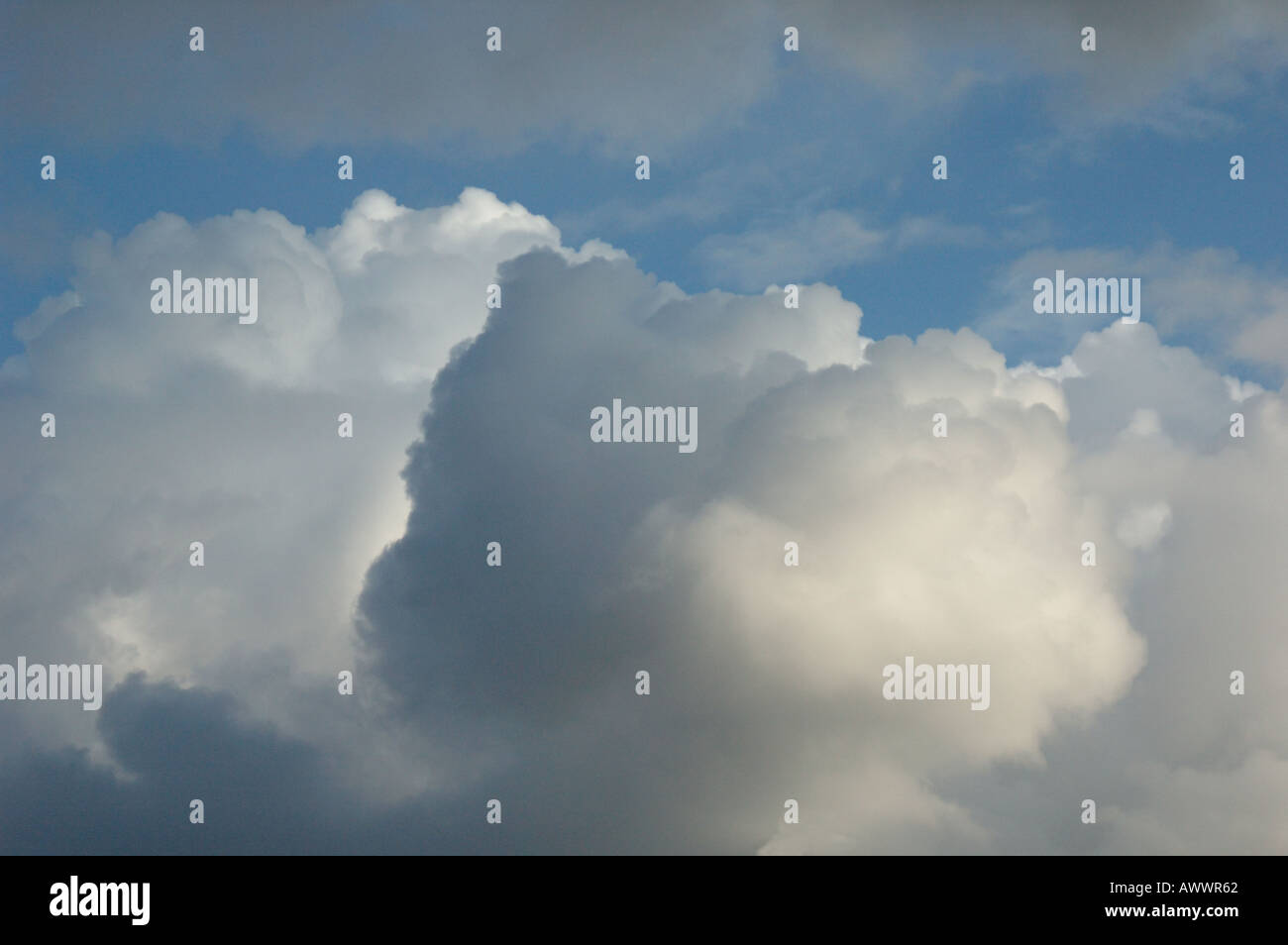 Cumulus clouds form thunderheads Stock Photo - Alamy