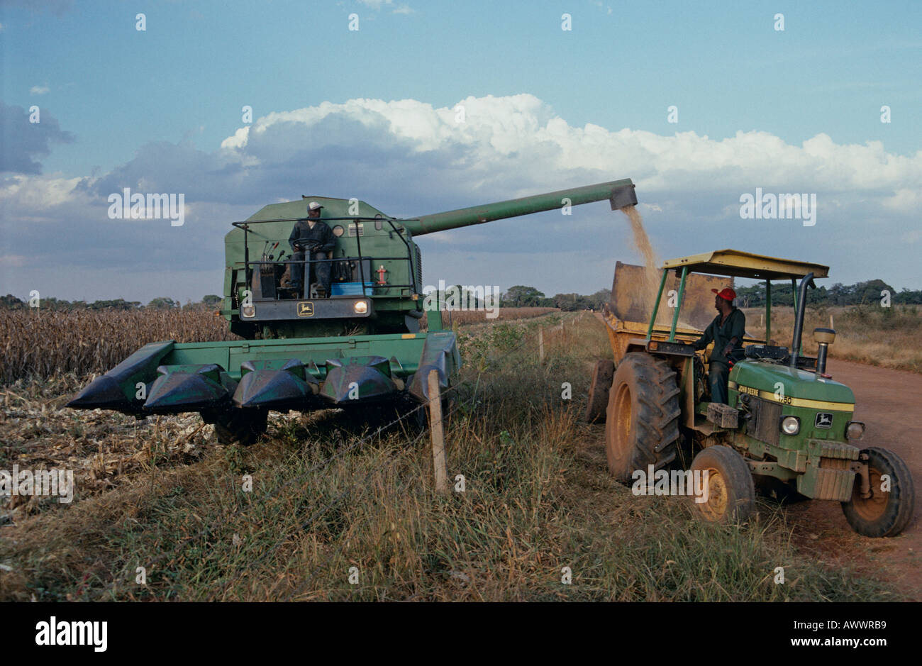 Maize harvest tractor hi-res stock photography and images - Alamy