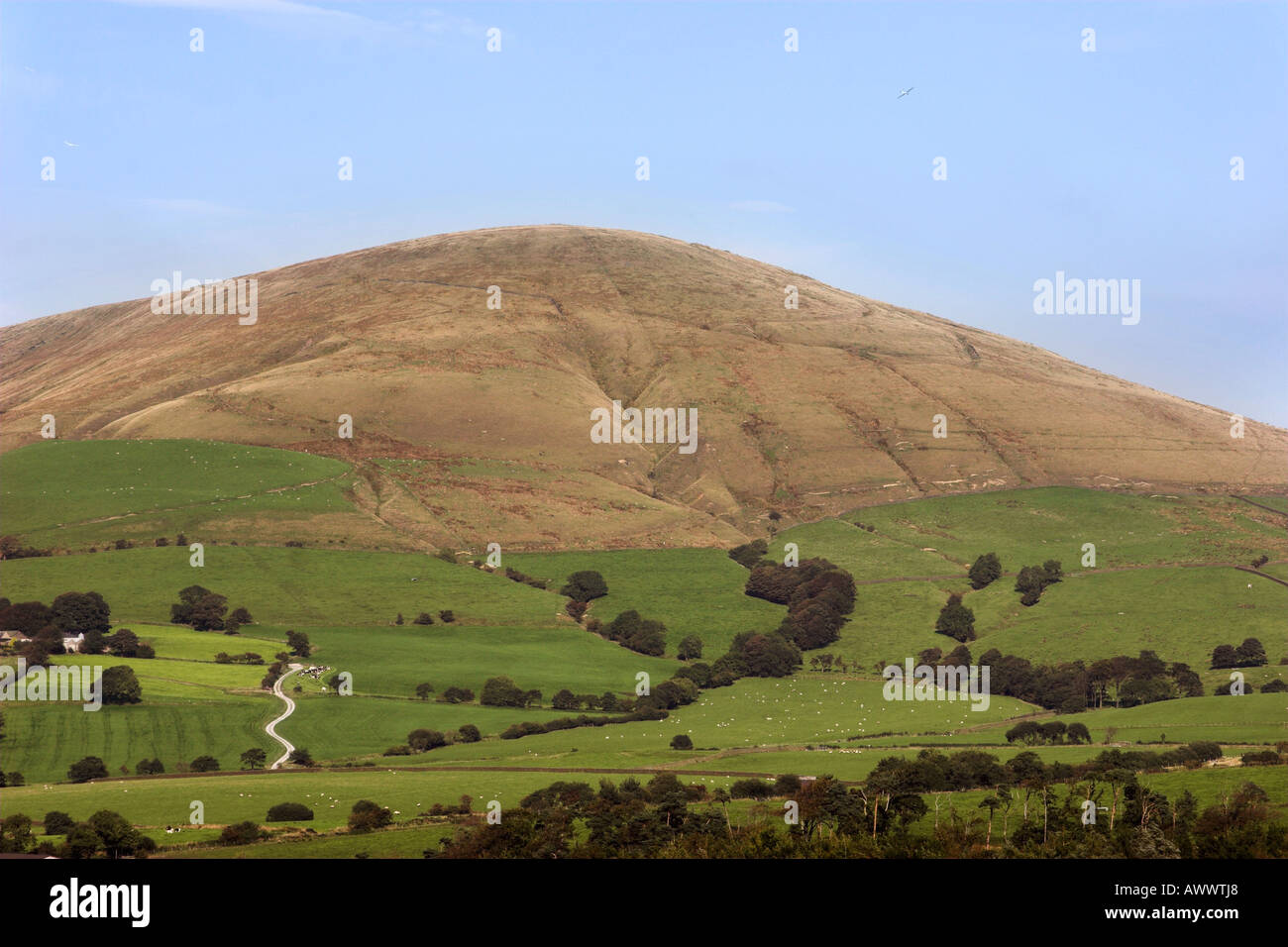 Beacon Fell Country Park in Lancashire Stock Photo - Alamy
