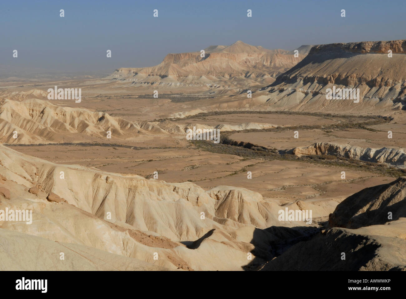View of Ein Avdat or Ein Ovdat a canyon in the Negev Desert of Israel ...