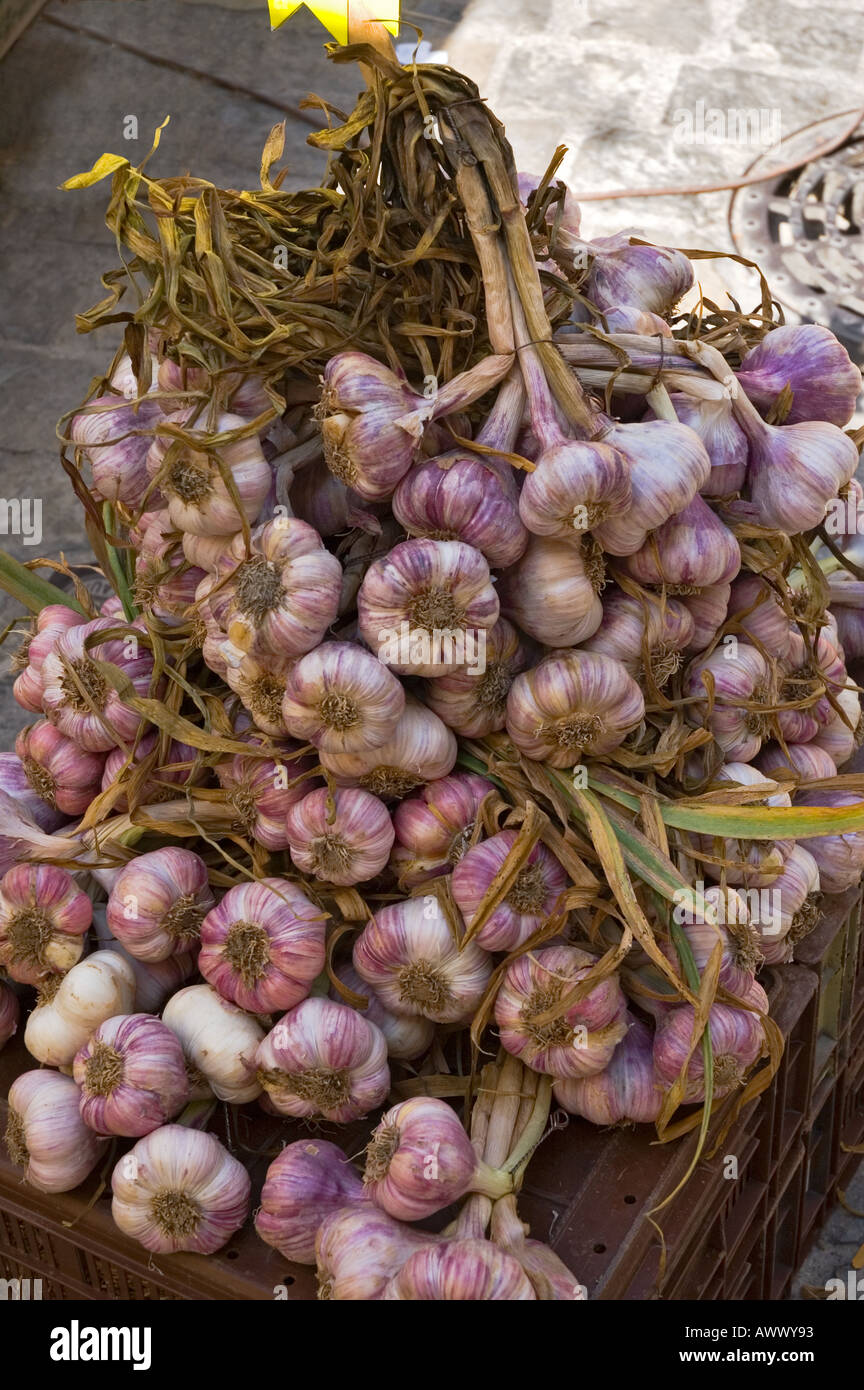 Garlic market stall Provence France Stock Photo - Alamy