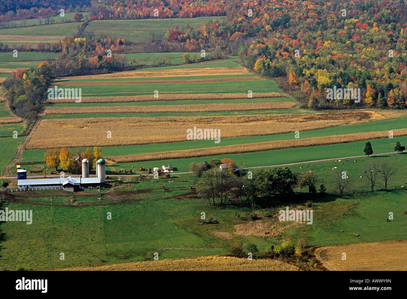 Mixed Farmland on the banks of The Susquehanna River in Northern ...