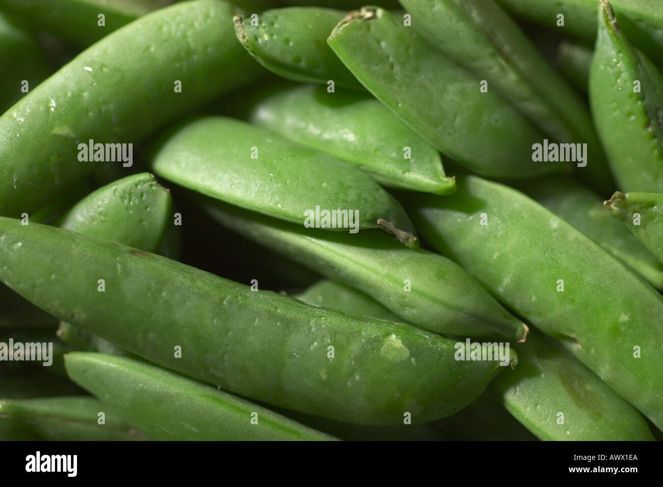 Snowpea plant hi-res stock photography and images - Alamy