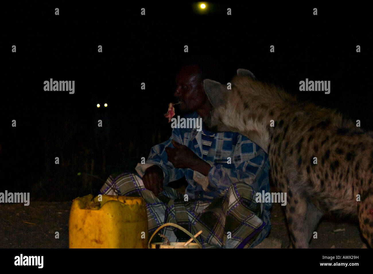 The famous hyena man feeding hyenas at night in Harar, Ethiopia, Africa ...