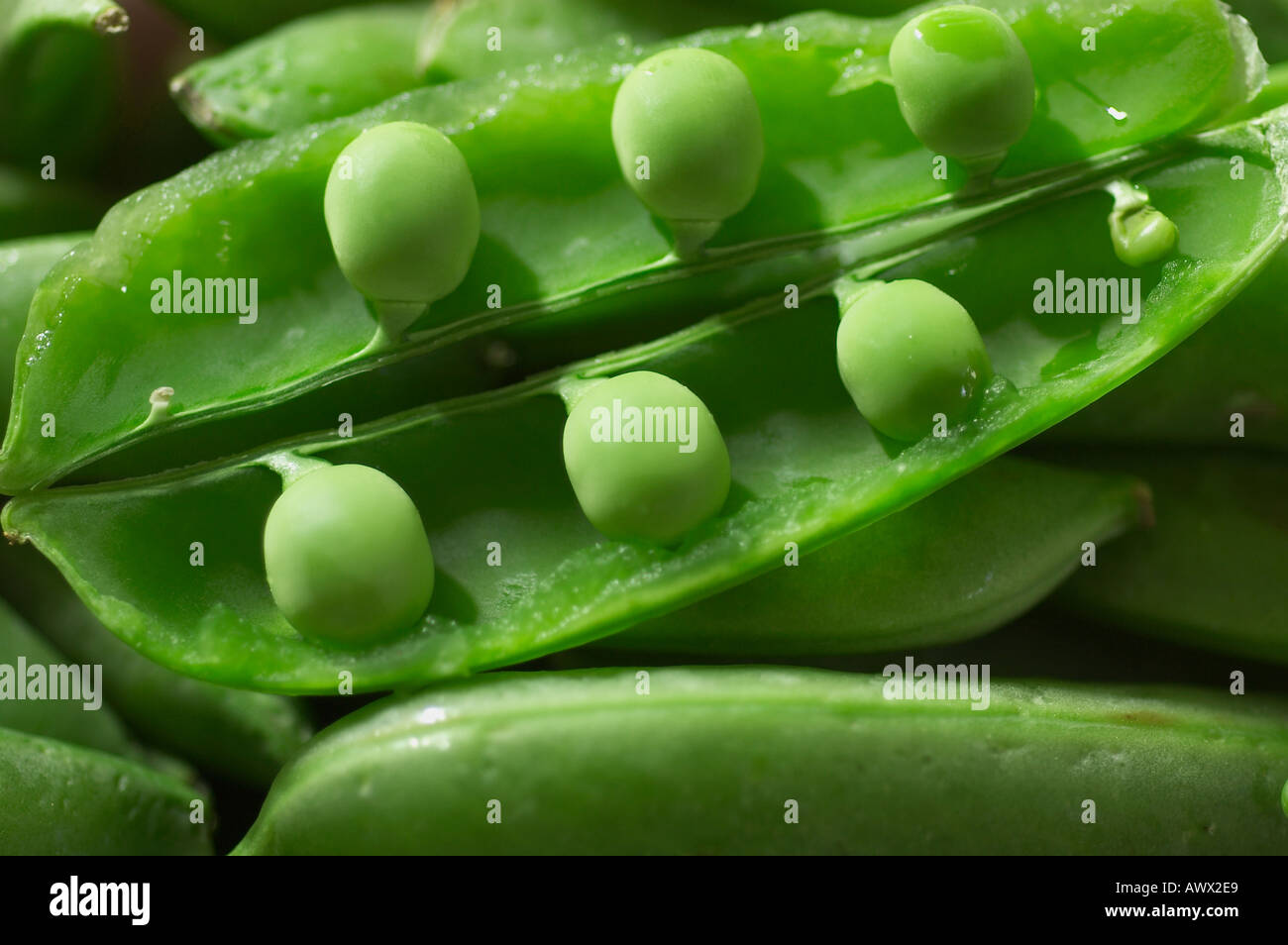 Snowpea plant hi-res stock photography and images - Alamy