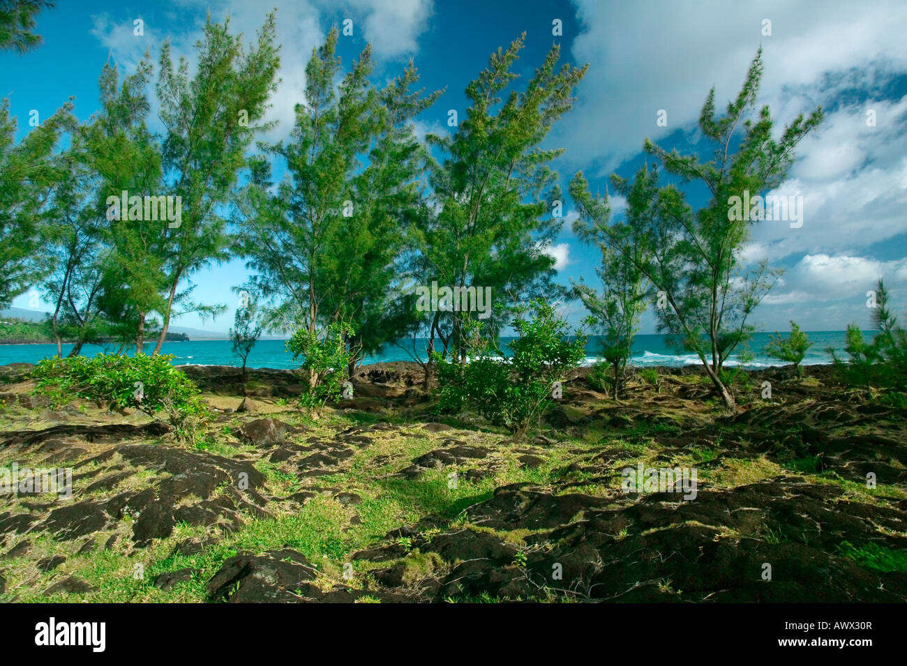 POINTE CORAIL - REUNION ISLAND Stock Photo - Alamy
