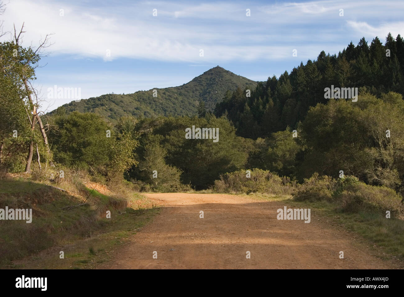 Dirt path at Lake Lagunitas with Mount Tamalpais in the distance Marin ...
