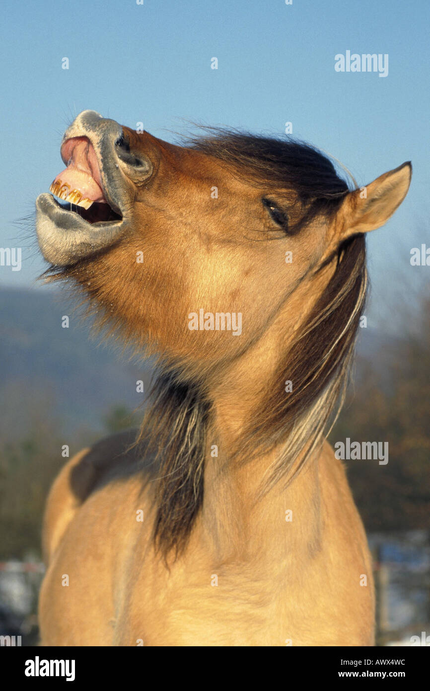 Andalusia l lenz hi-res stock photography and images - Alamy