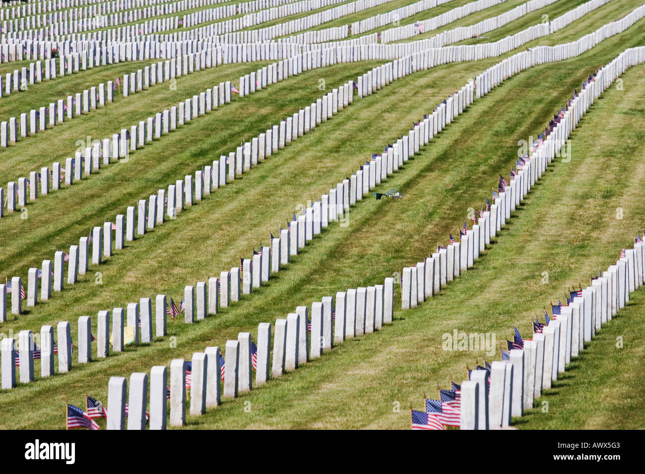 Rows of grave stones at Golden Gate National Cemetery on Memorial Day ...