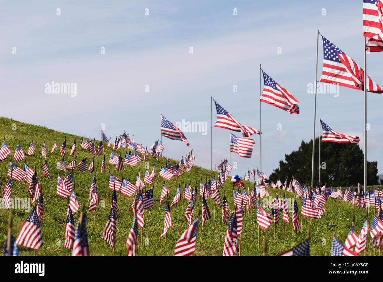 Golden gate national cemetery hi-res stock photography and images - Alamy