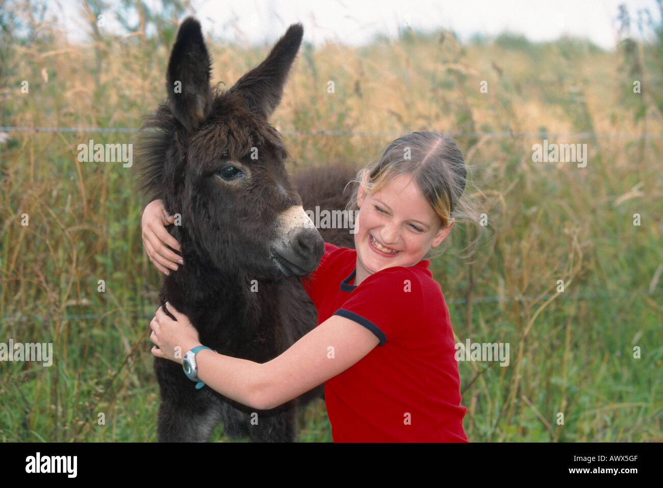 domestic donkey (Equus asinus f. asinus), girl hugging a foal Stock ...