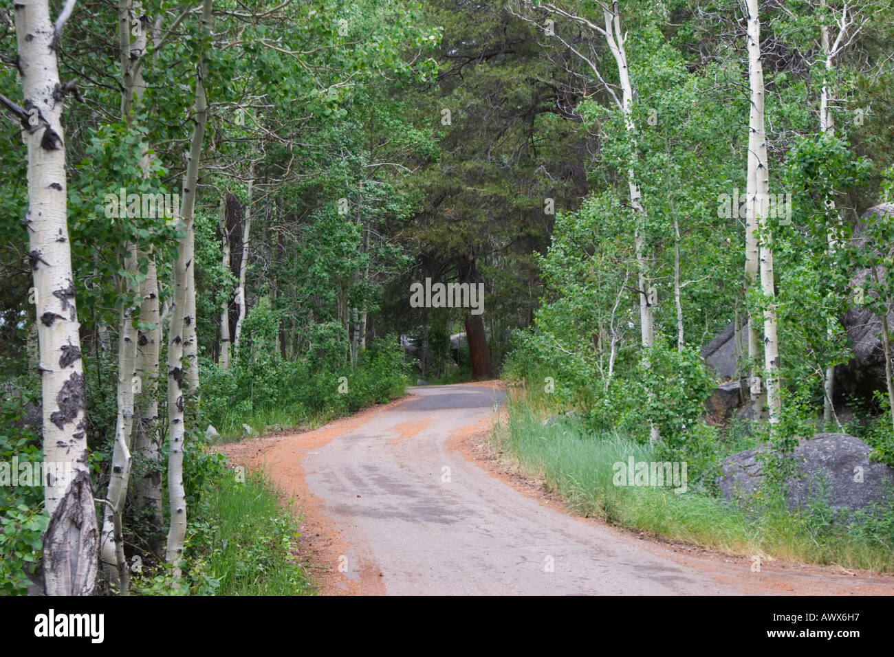 Paved campground hi-res stock photography and images - Alamy