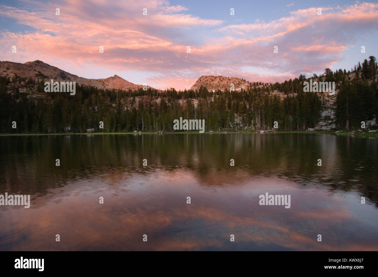 Desolation wilderness alpine forest hi-res stock photography and images ...