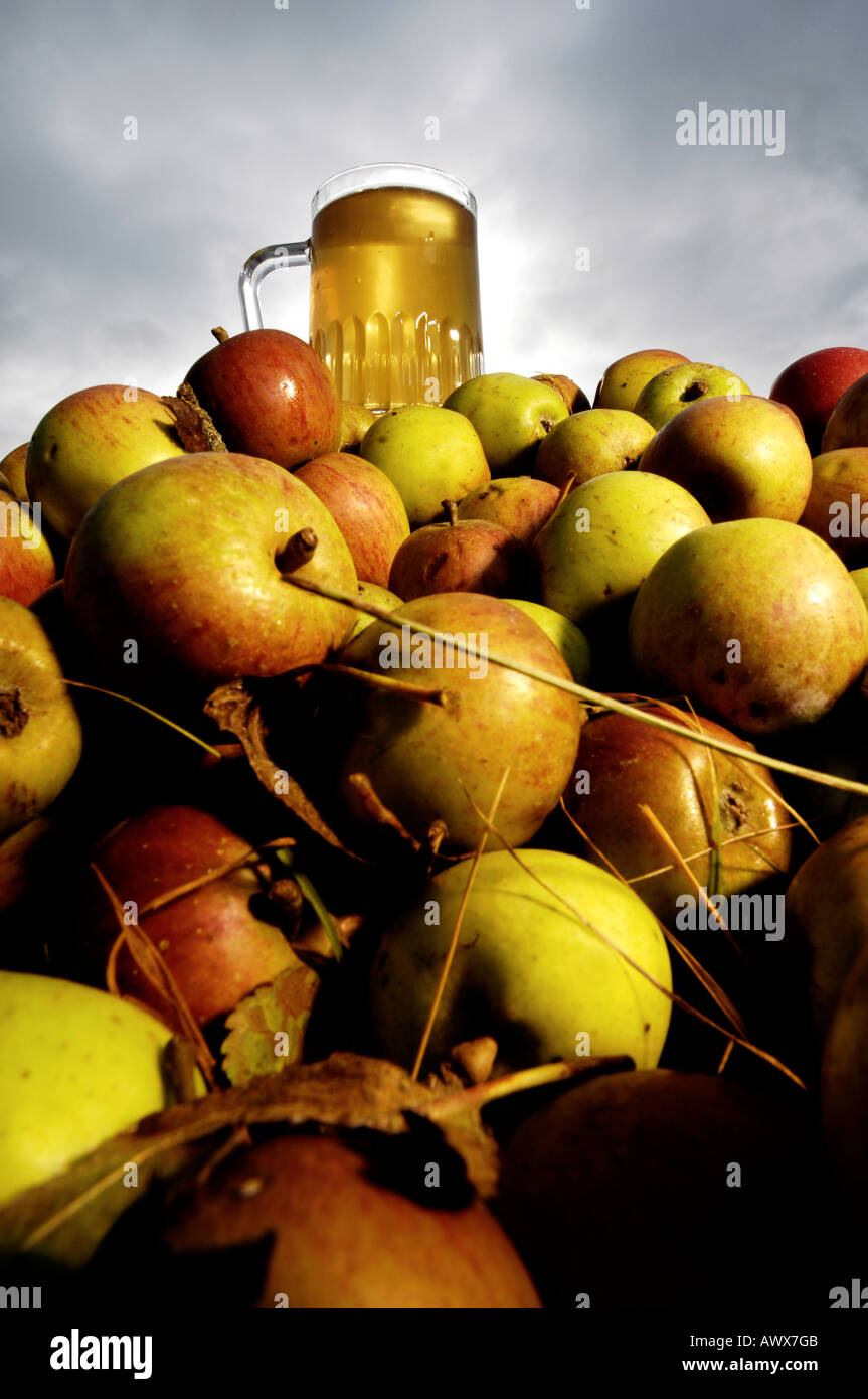Plastic pint cider hi-res stock photography and images - Alamy