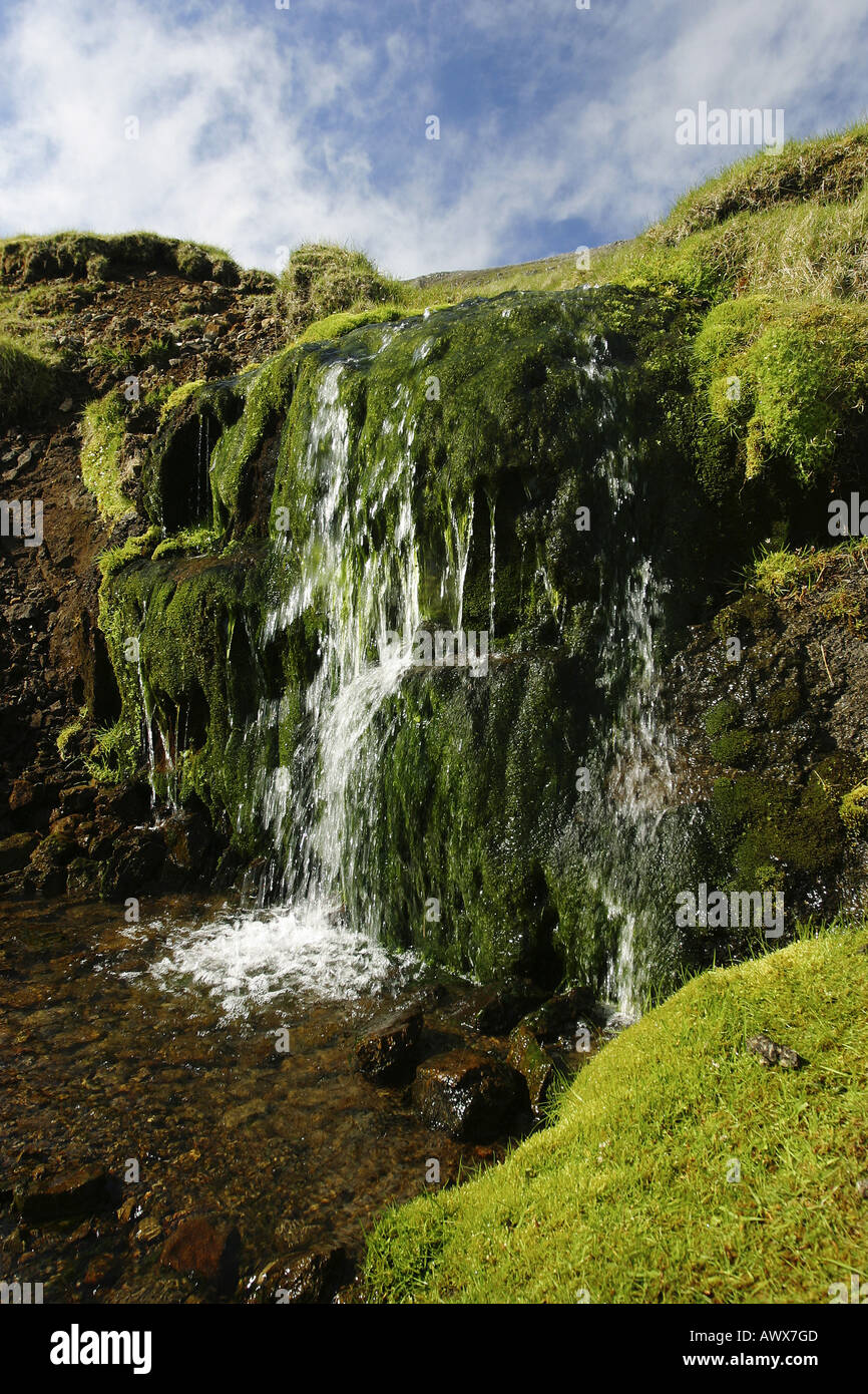 Denmark s ziese water biotope hi-res stock photography and images - Alamy