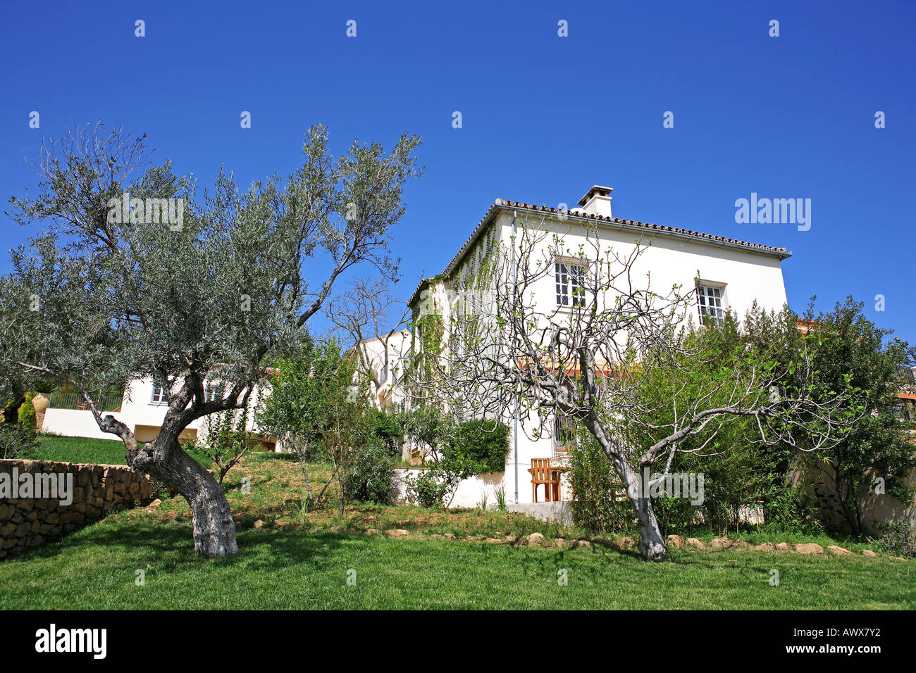 Large rustic hotel and pond set in beautiful gardens in the Spanish ...