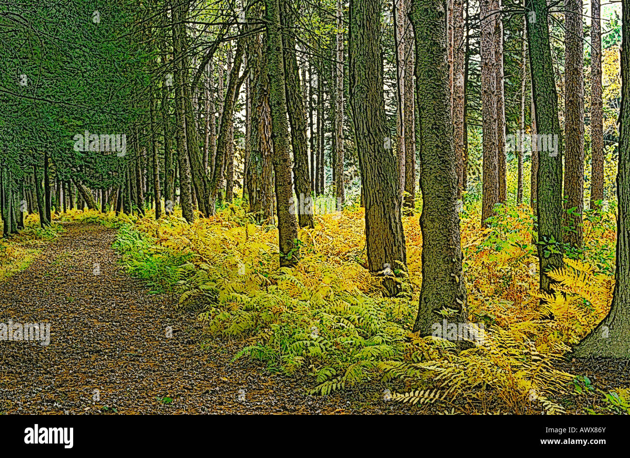 Artistic altered image hi-res stock photography and images - Alamy