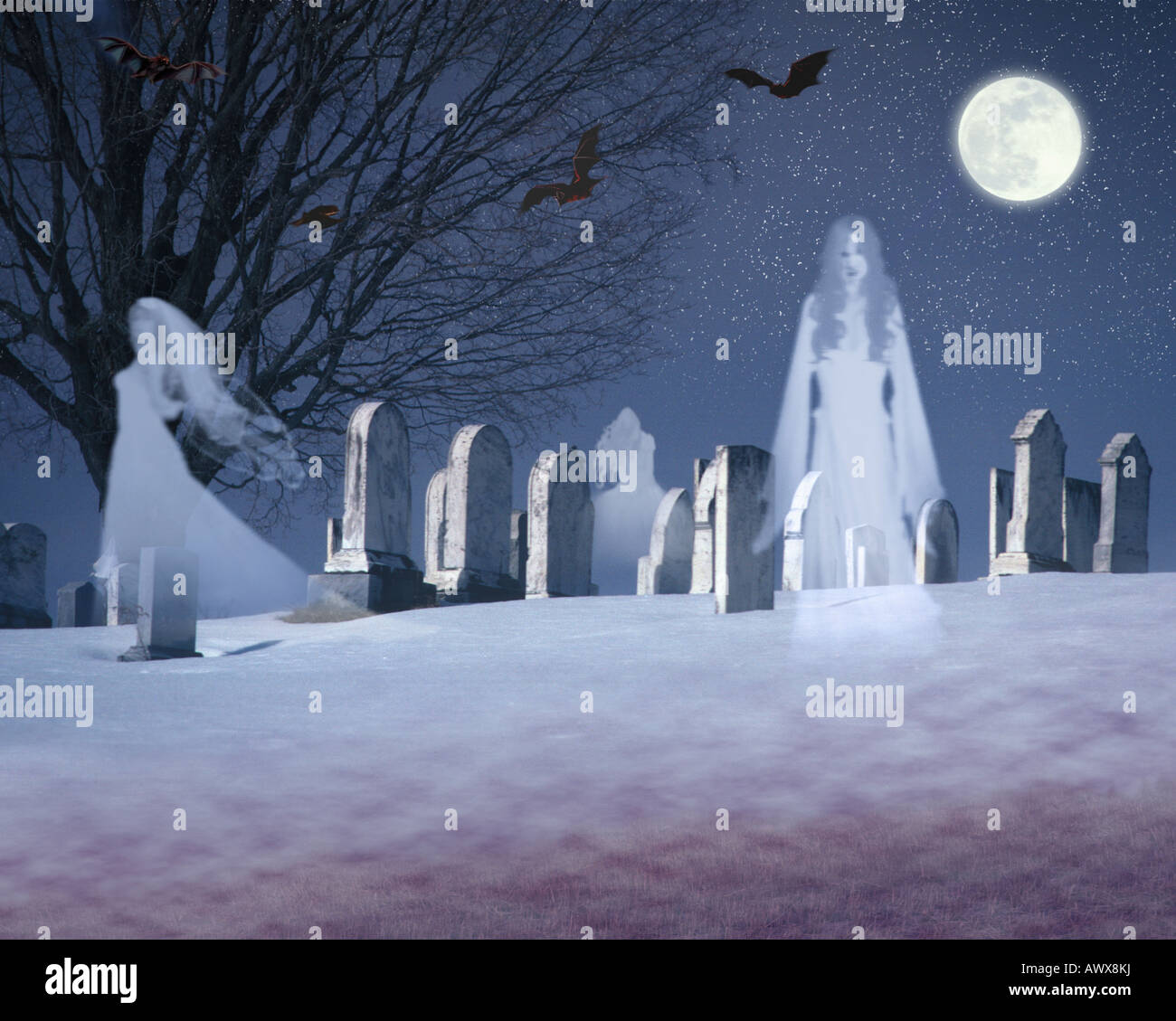 Full cemetery hi-res stock photography and images - Alamy