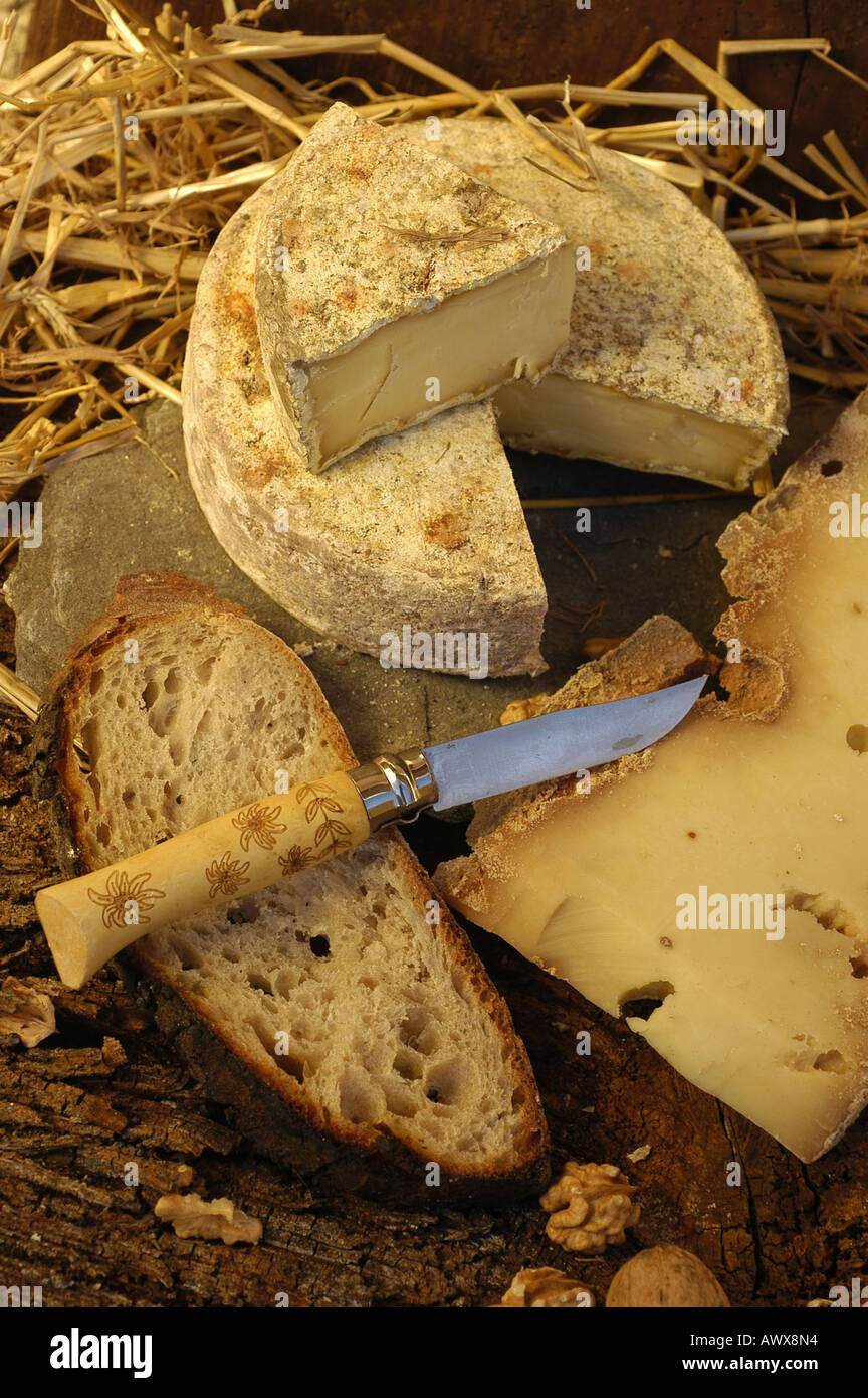 Cheese from north of Alps, France Stock Photo - Alamy