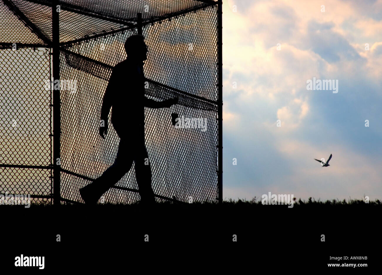 silhouetted man with bird Stock Photo - Alamy