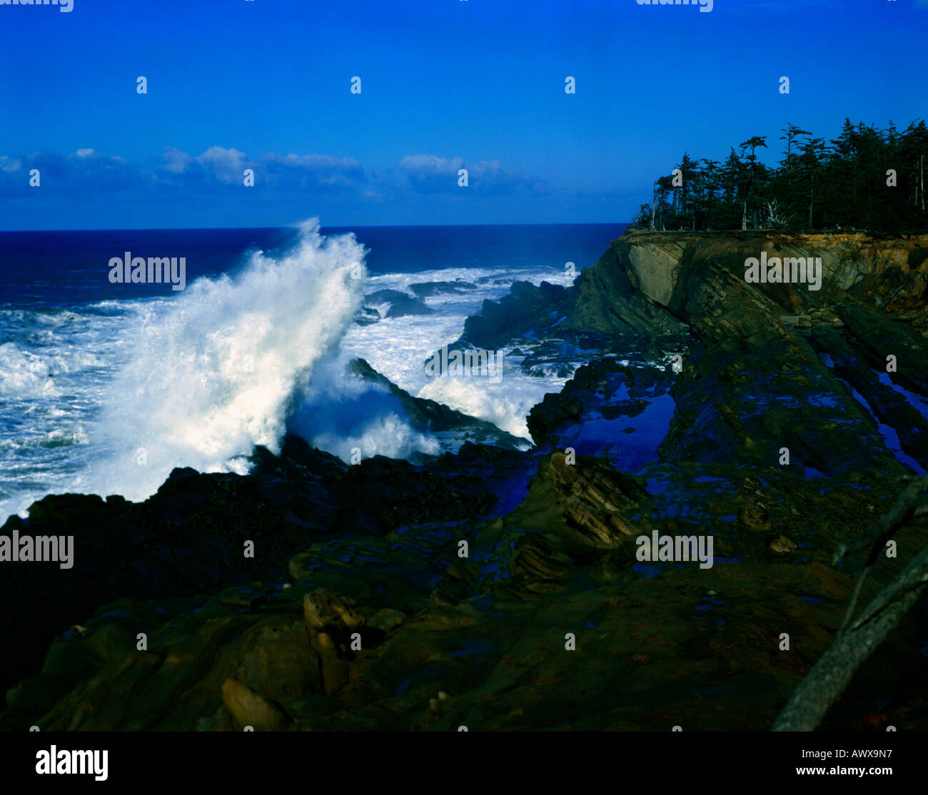 Big surf crashes against the rugged cliffs on the oceanfront at Shore ...