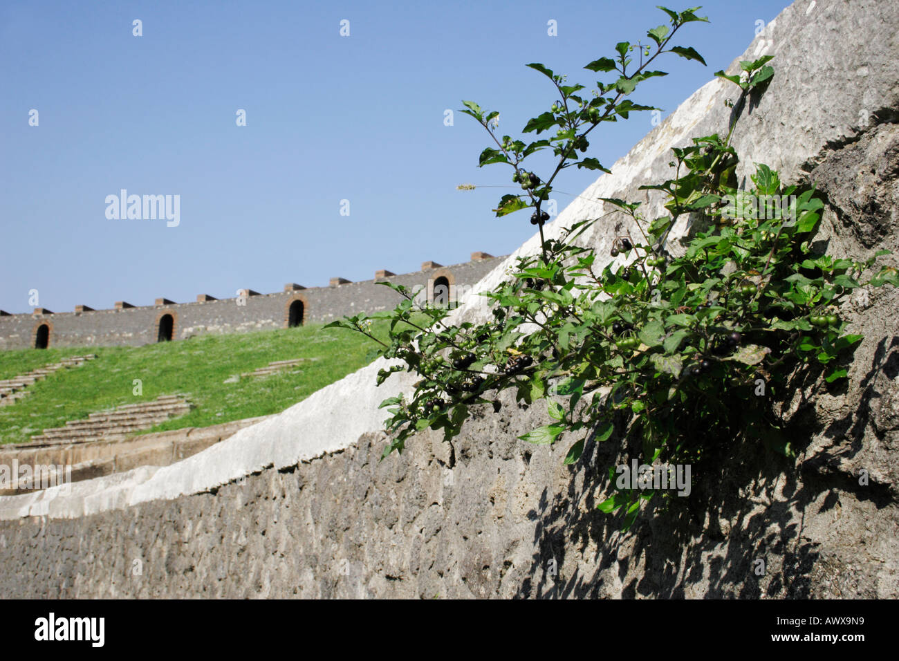 Inside the Amphitheatre, Pompeii, Italy Stock Photo - Alamy