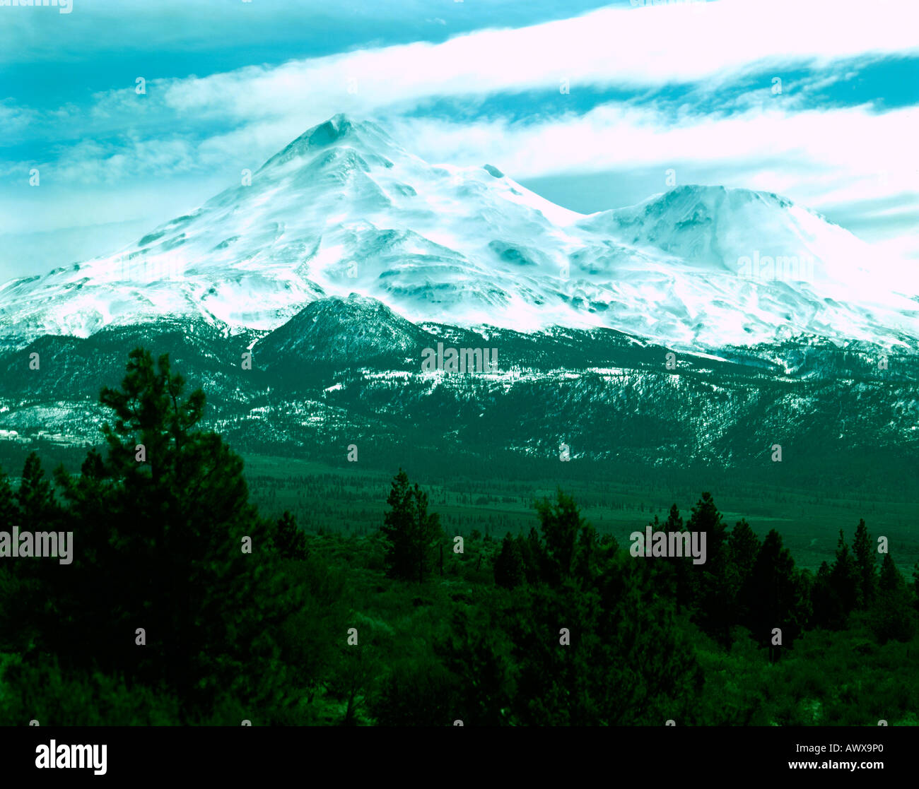 Mount Shasta reaches 14162 feet elevation and can be seen from ...