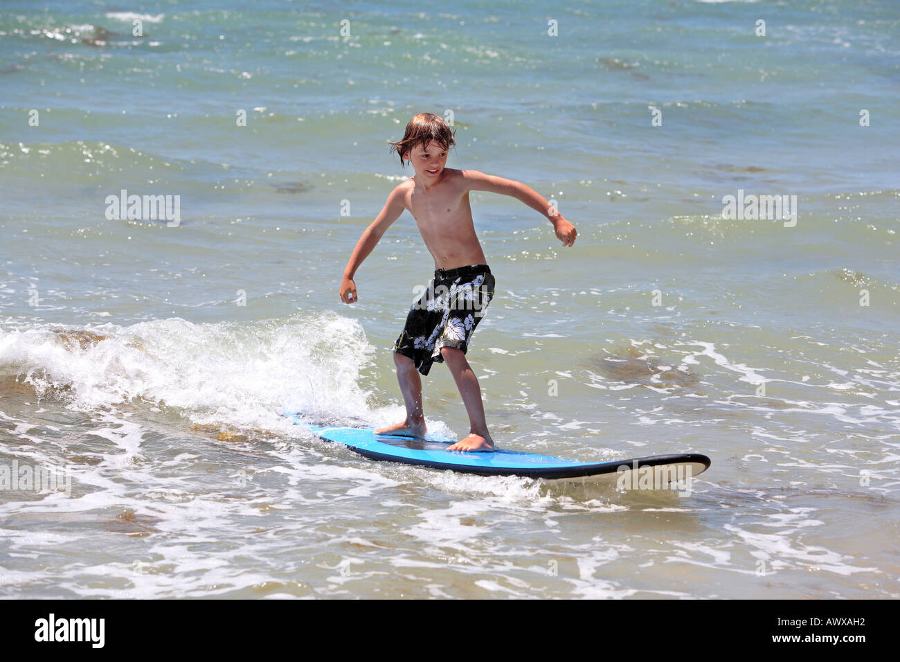 Healthy young boy learning to surf in the sea or ocean Stock Photo - Alamy