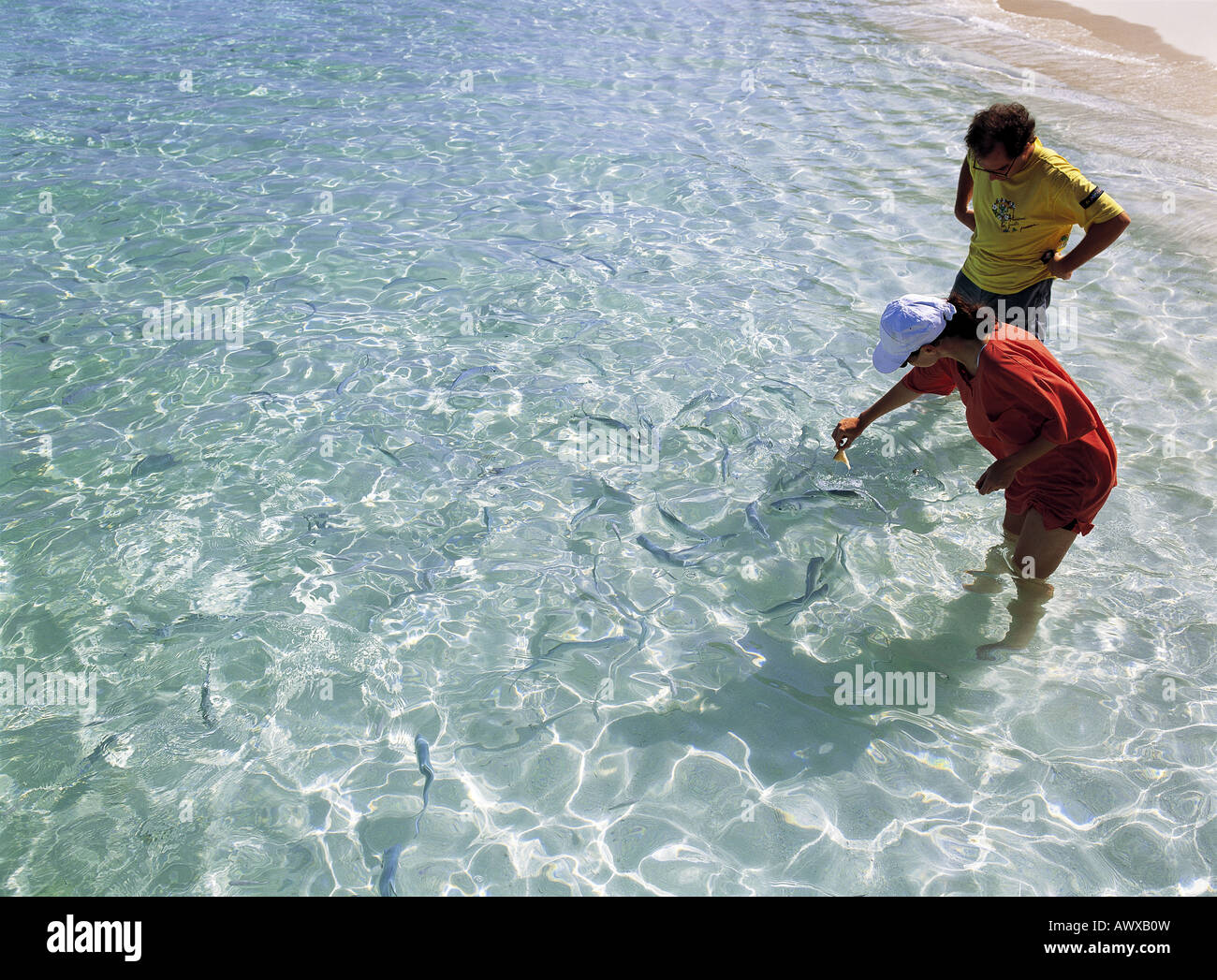 Tropical beach fish hi-res stock photography and images - Alamy