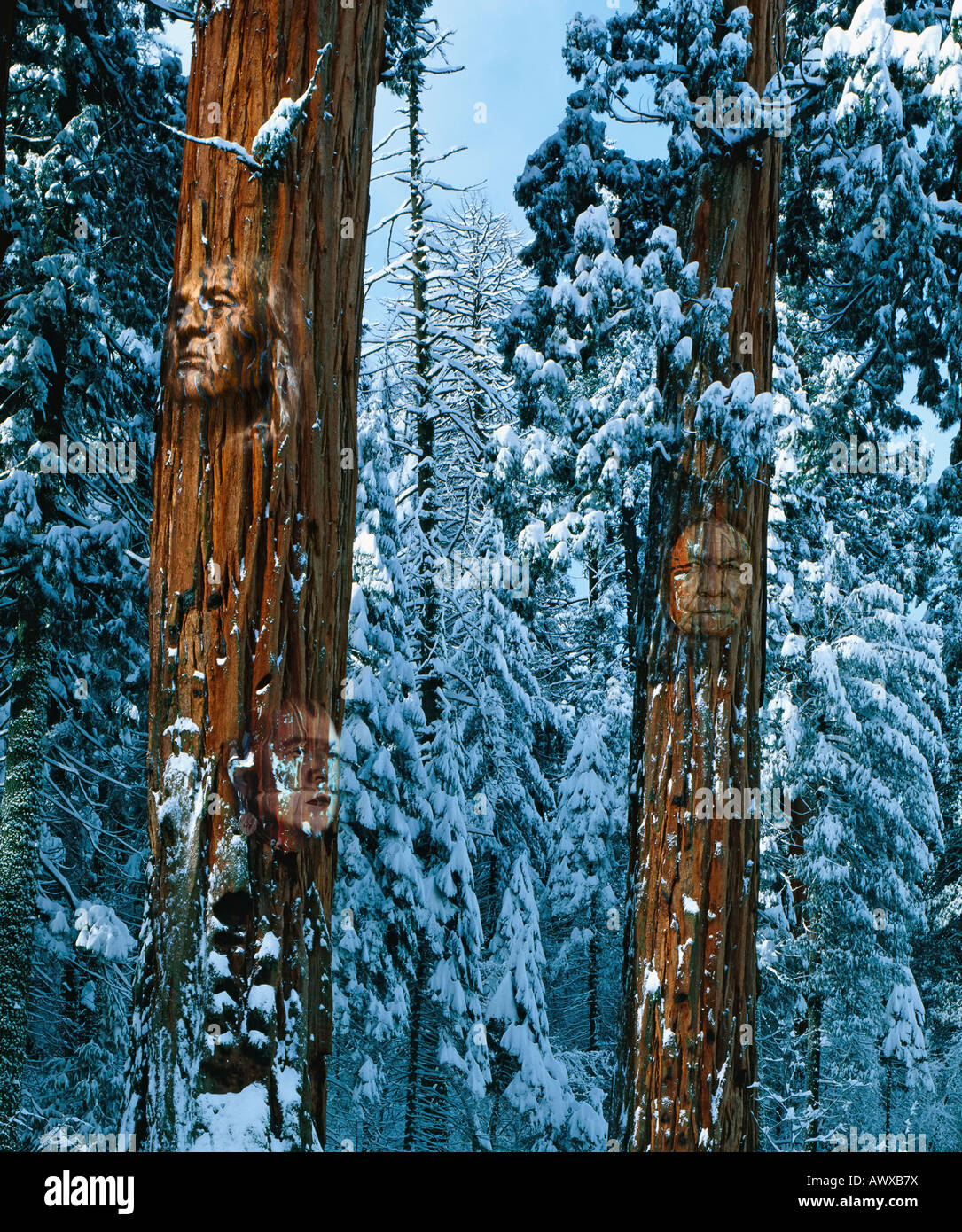Composite image of native American Indian faces appearing on tall snowy ...