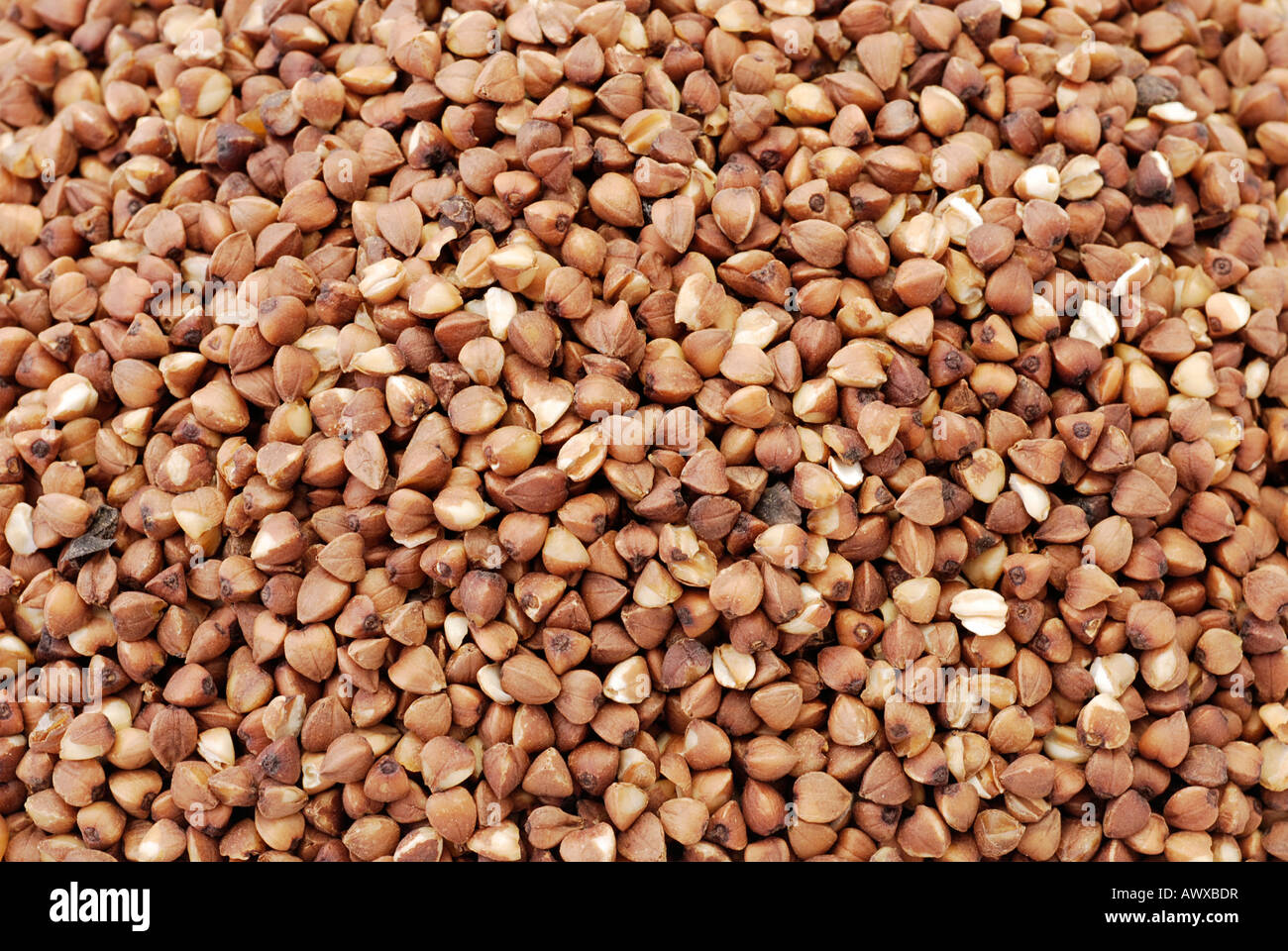 Close-up (Detail) of Buckwheat Stock Photo - Alamy