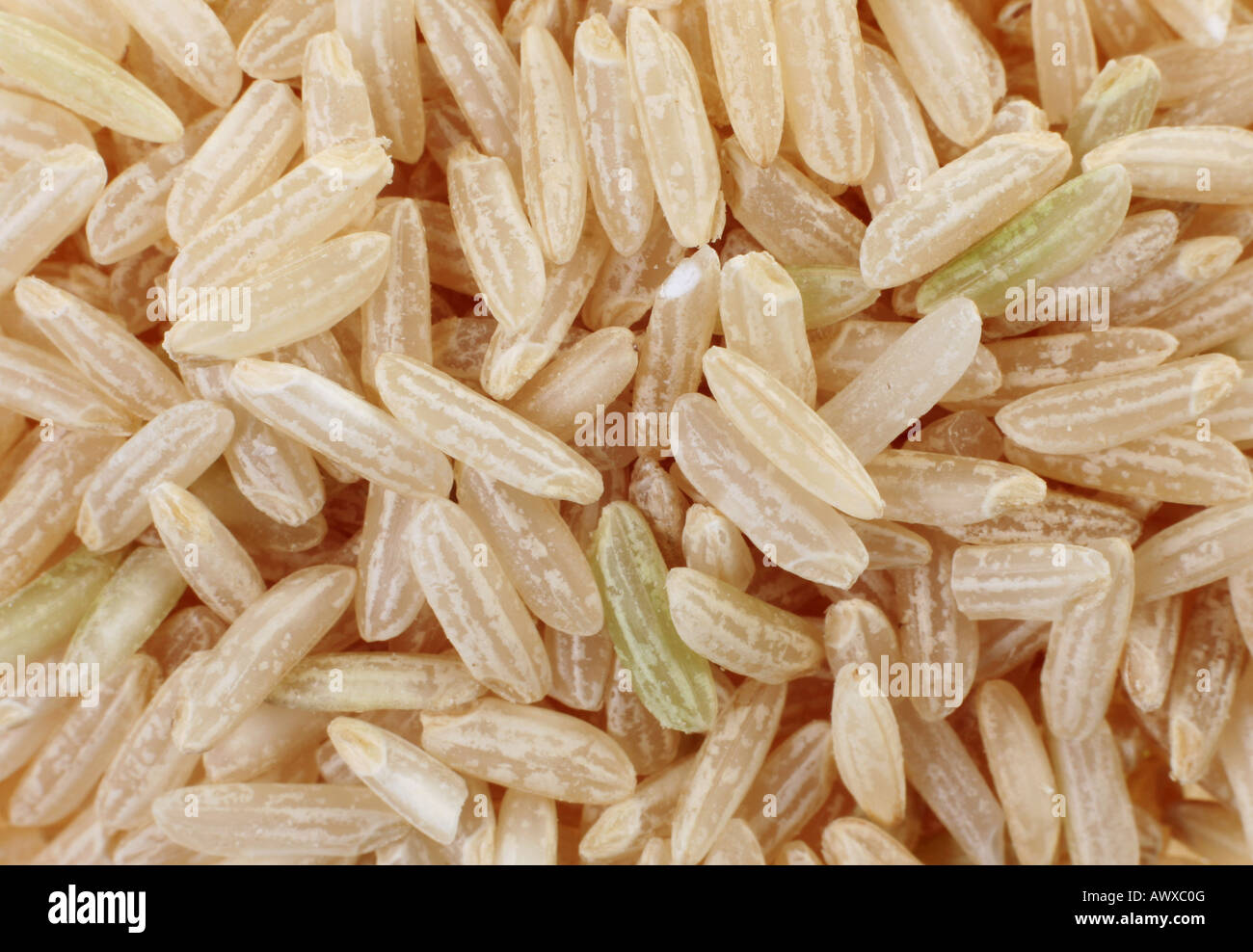 Wild dry rice detail view background Stock Photo - Alamy