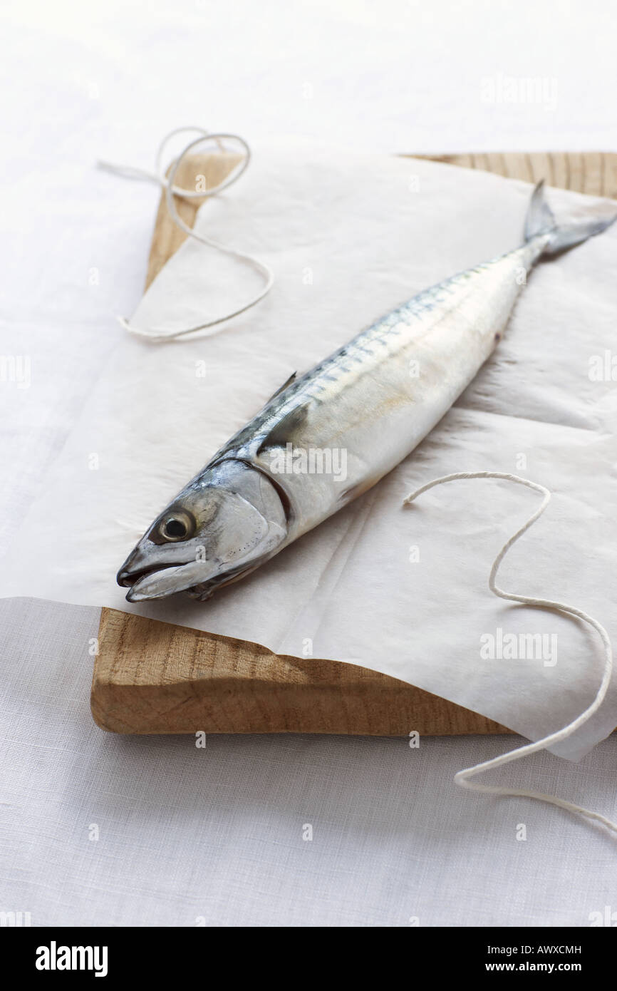 Fish on chopping board, close-up Stock Photo - Alamy