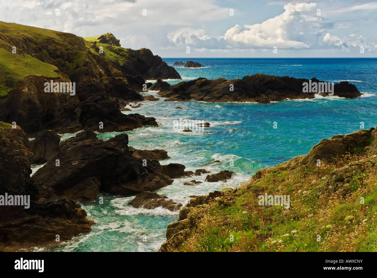 Cornish coastline, the lizard, uk Stock Photo - Alamy