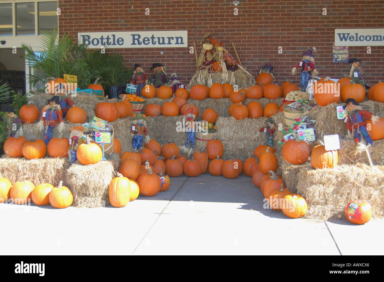 Display of Pumpkins outside American Store Stock Photo - Alamy