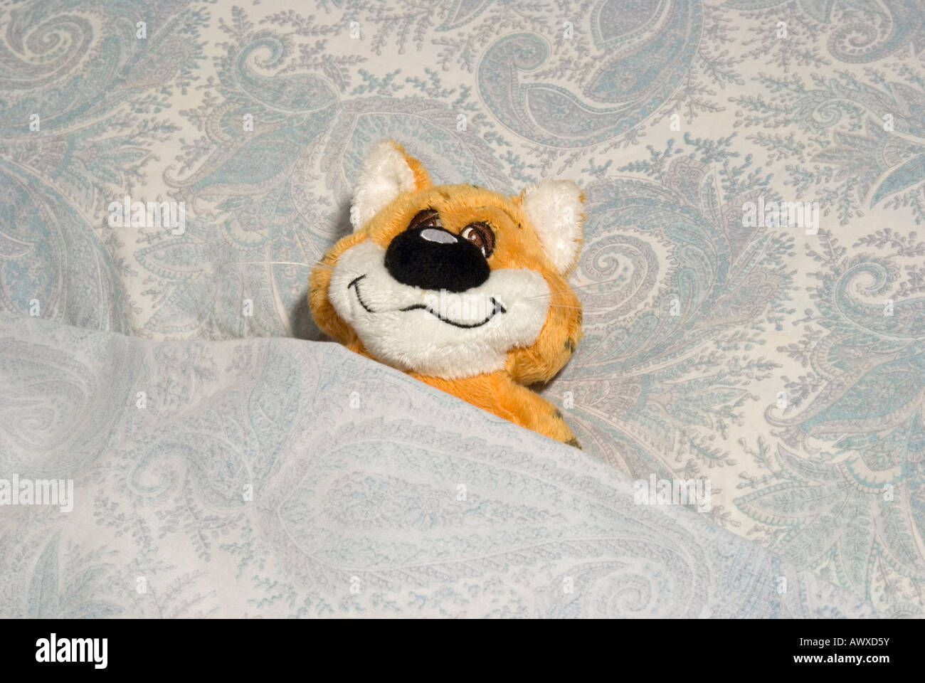 puppet in bed Stock Photo - Alamy