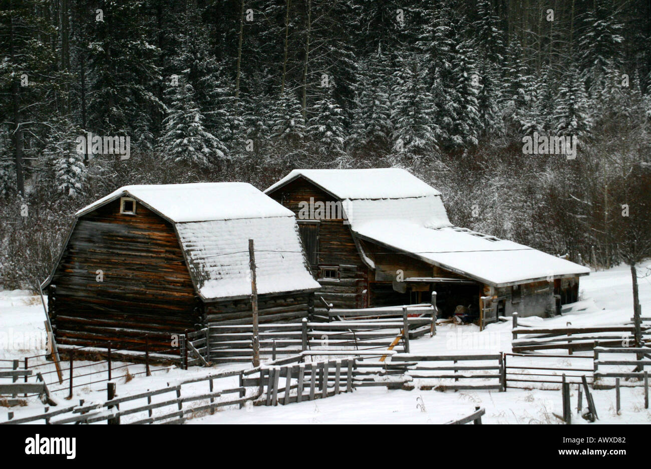 Scences hi-res stock photography and images - Alamy