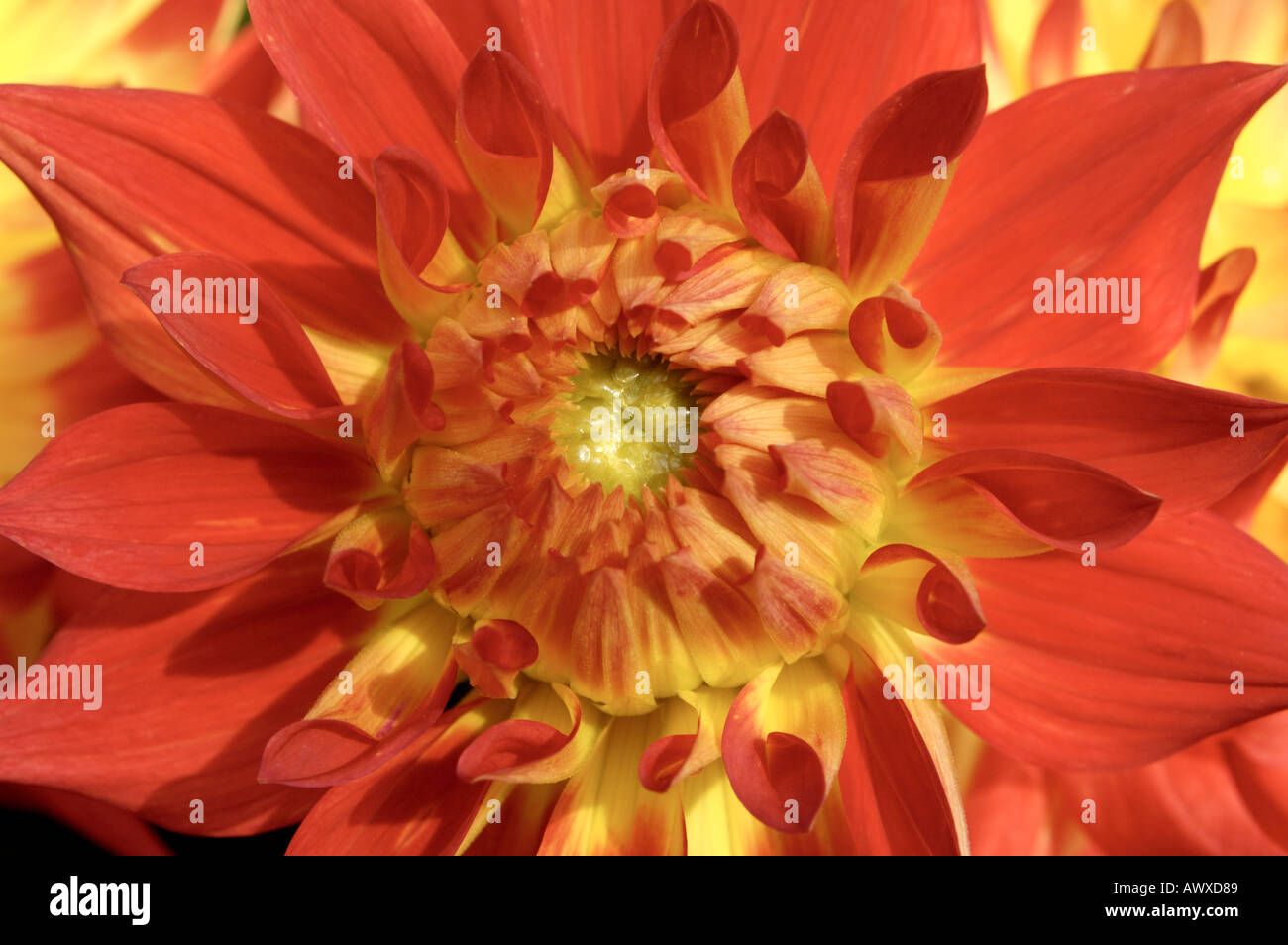 Kenora Sunset High Resolution Stock Photography and Images - Alamy