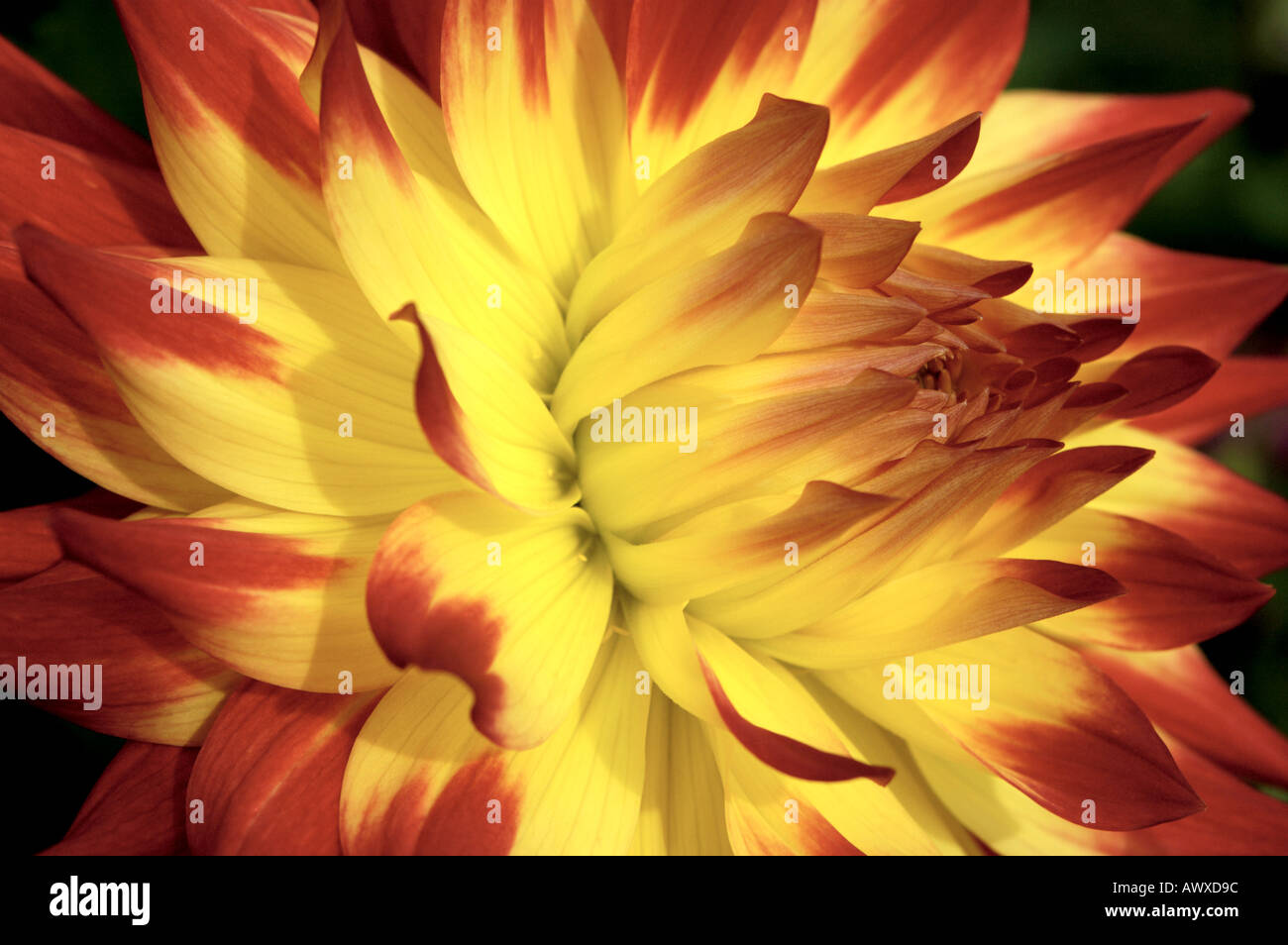 Kenora sunset hi-res stock photography and images - Alamy