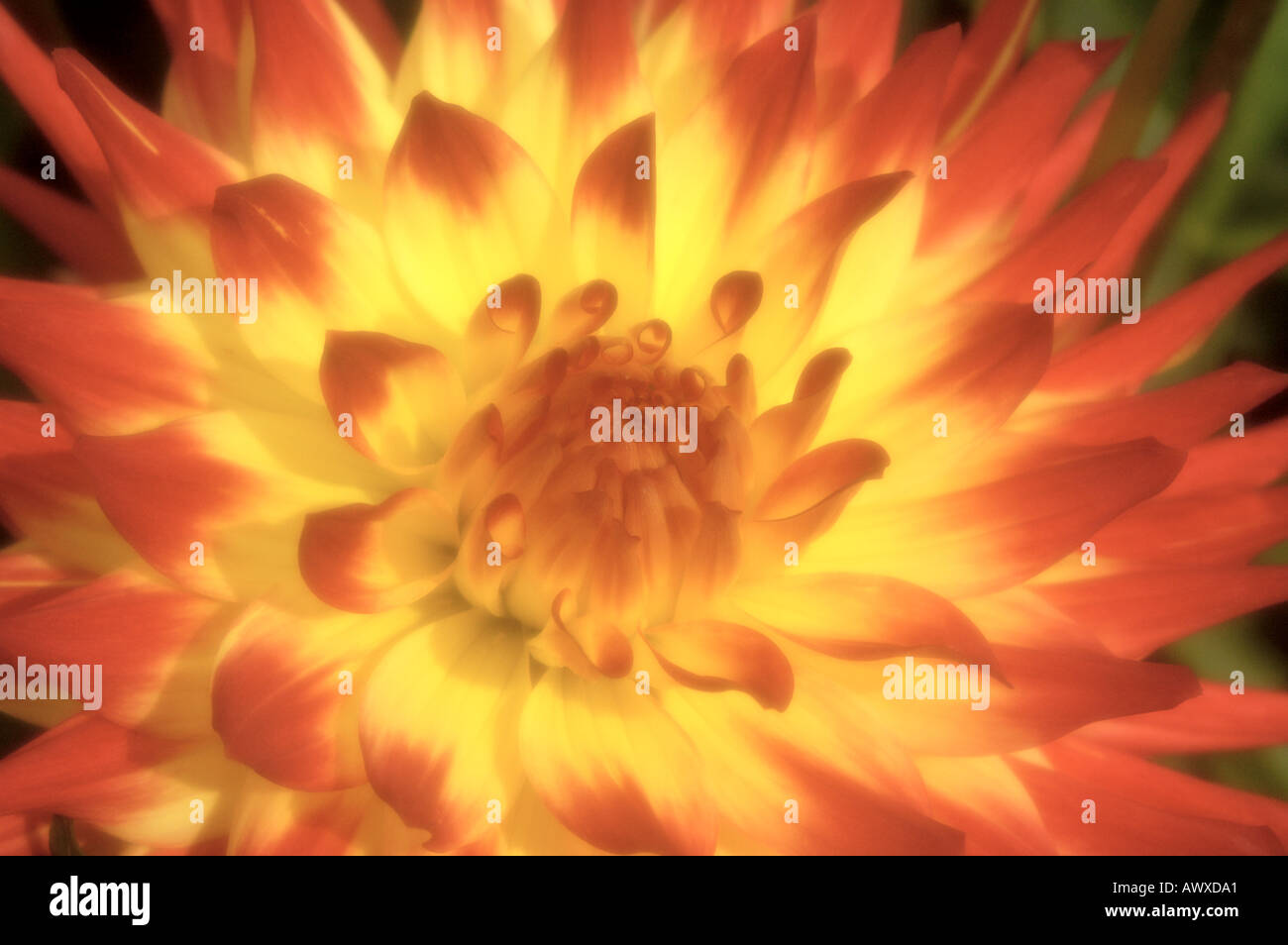 Kenora sunset hi-res stock photography and images - Alamy