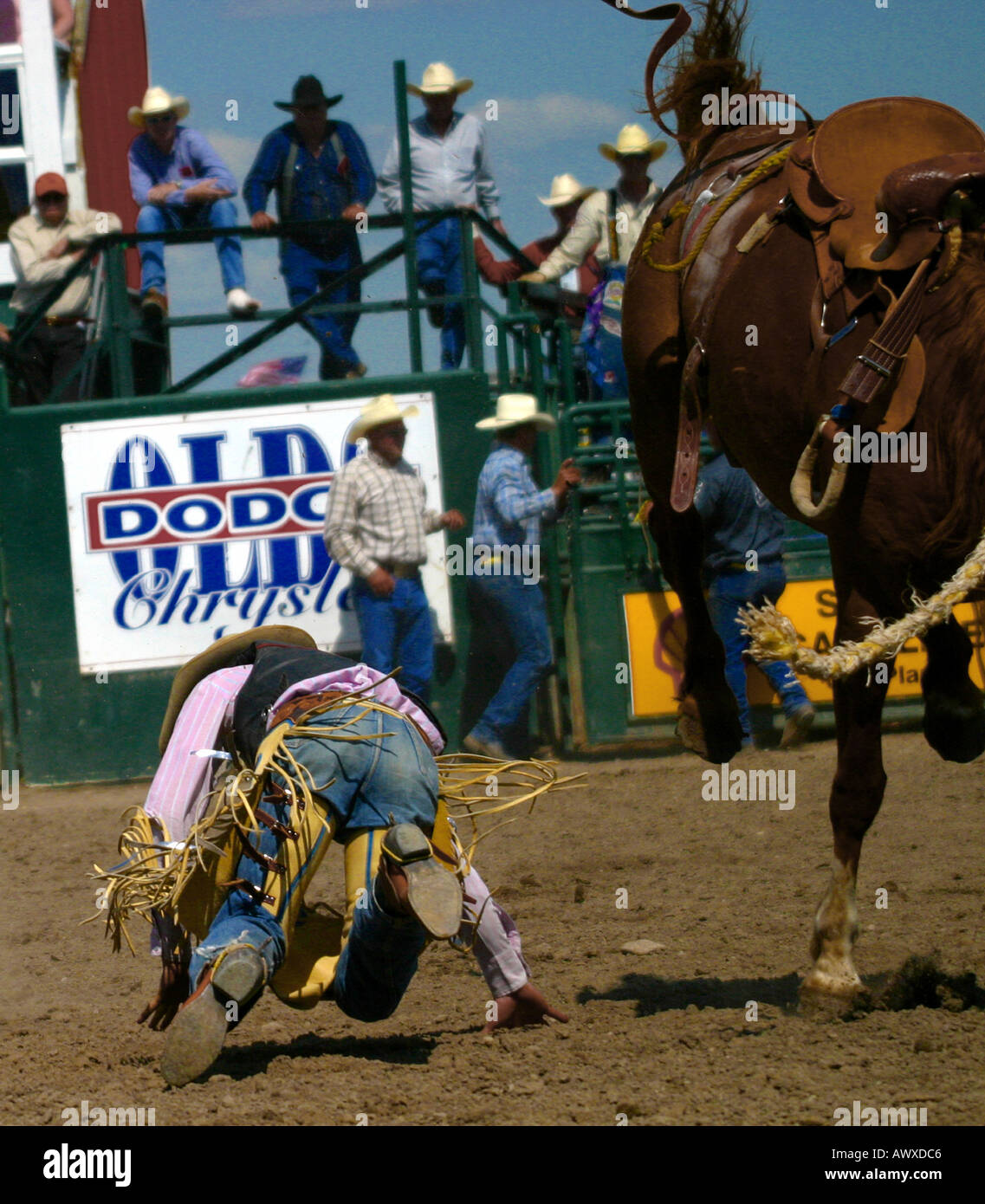 Cowboy bucked off bull hi-res stock photography and images - Alamy