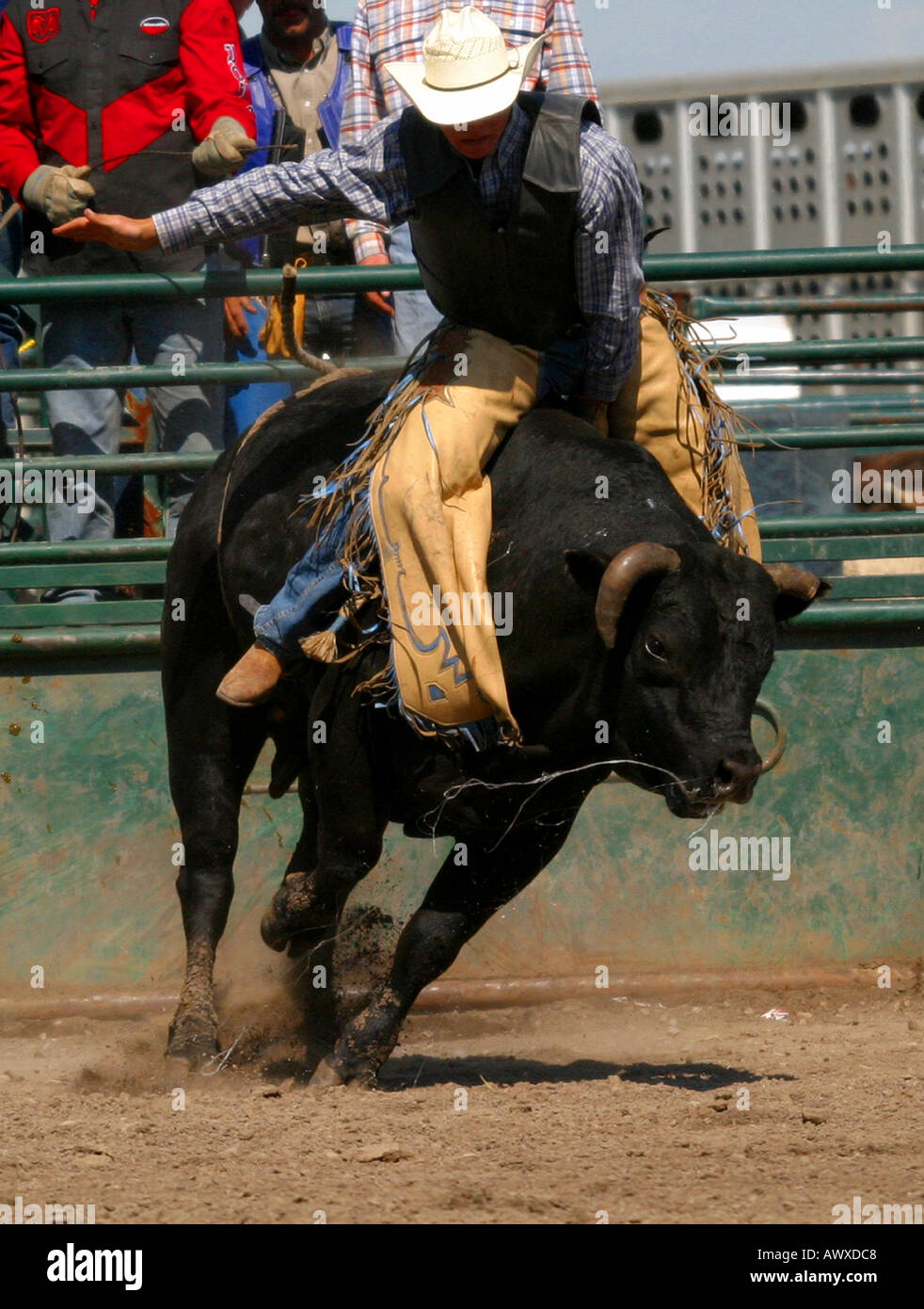 Rodeo clown and bull rider hi-res stock photography and images - Alamy