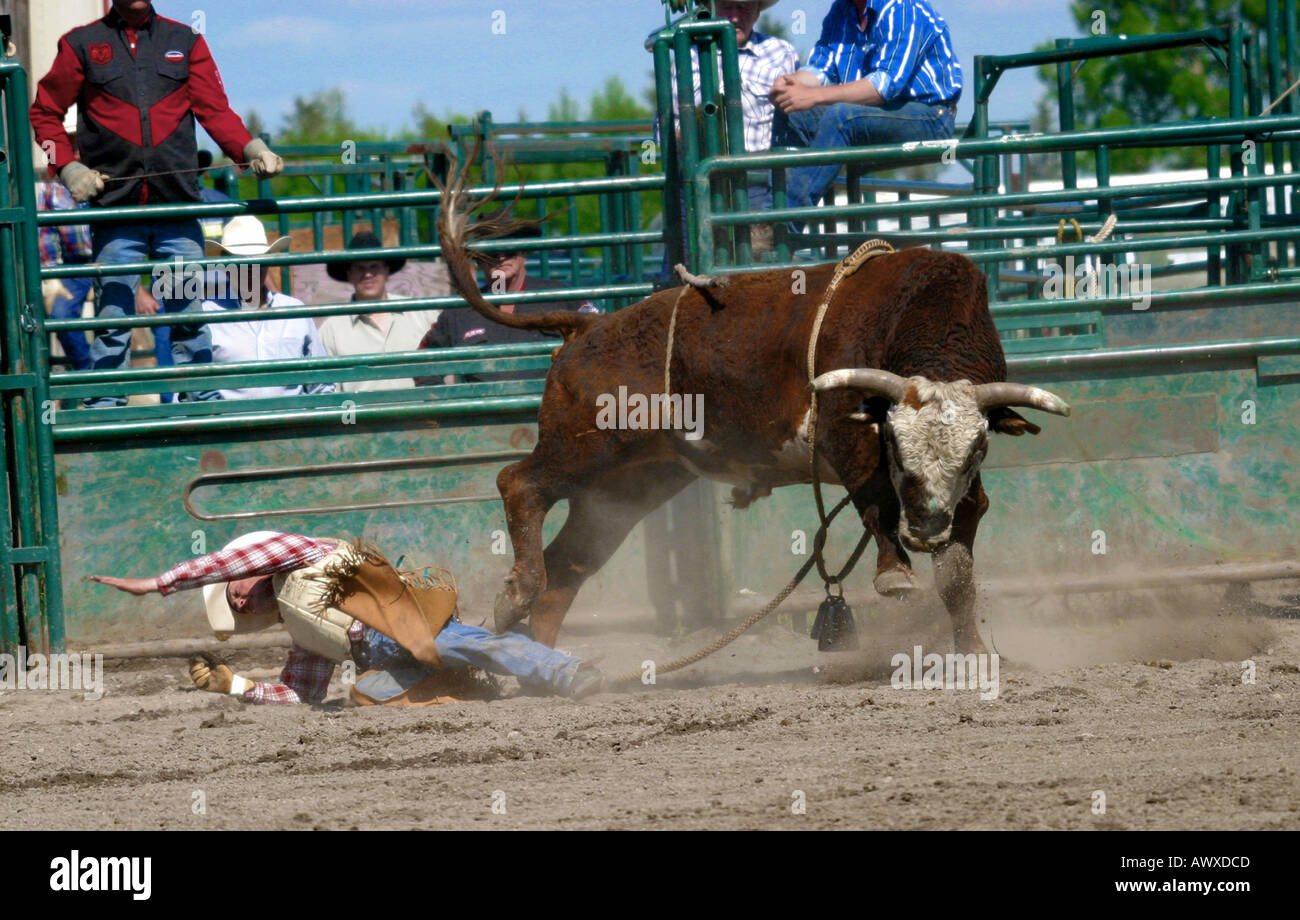 Bull riding spurs hi-res stock photography and images - Alamy