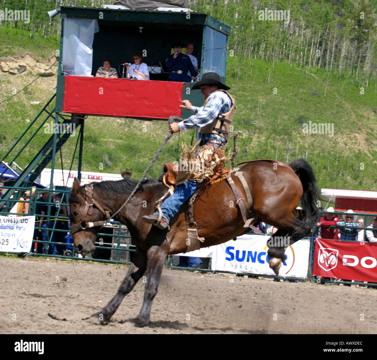 Bucking bronco rider calgary hi-res stock photography and images - Alamy