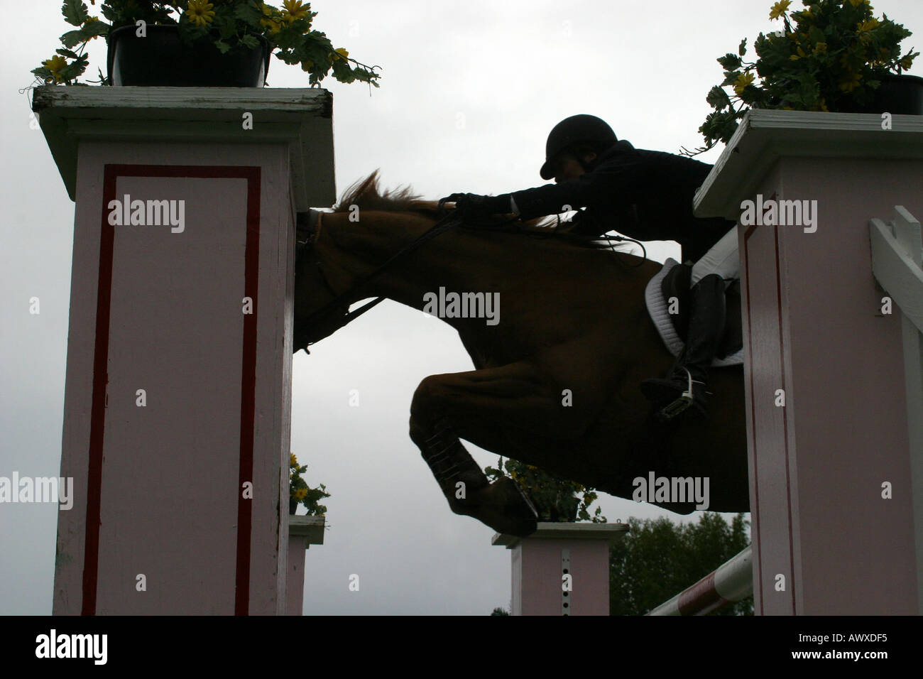 Oxer jump hi-res stock photography and images - Alamy