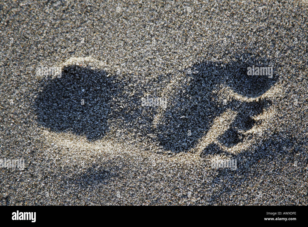 footprint in the sand Stock Photo - Alamy