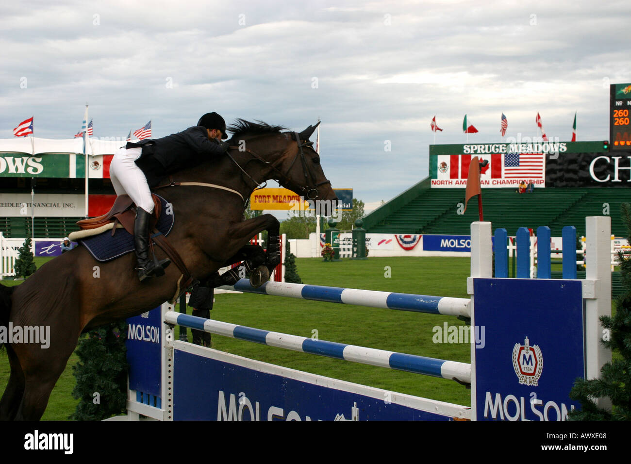 Equestrian international show jumping competition Calgary Alberta ...
