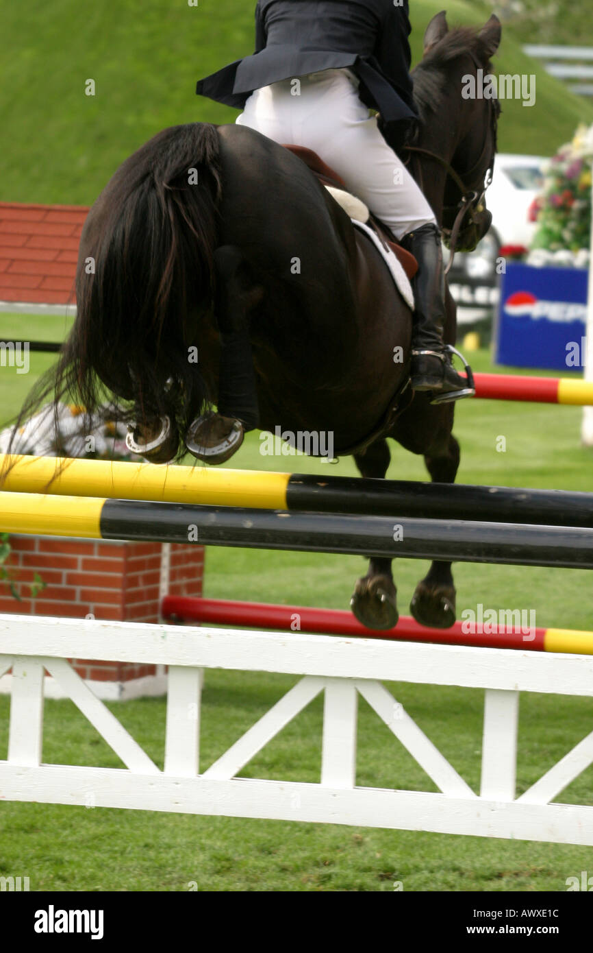 Equestrian international show jumping competition hi-res stock ...