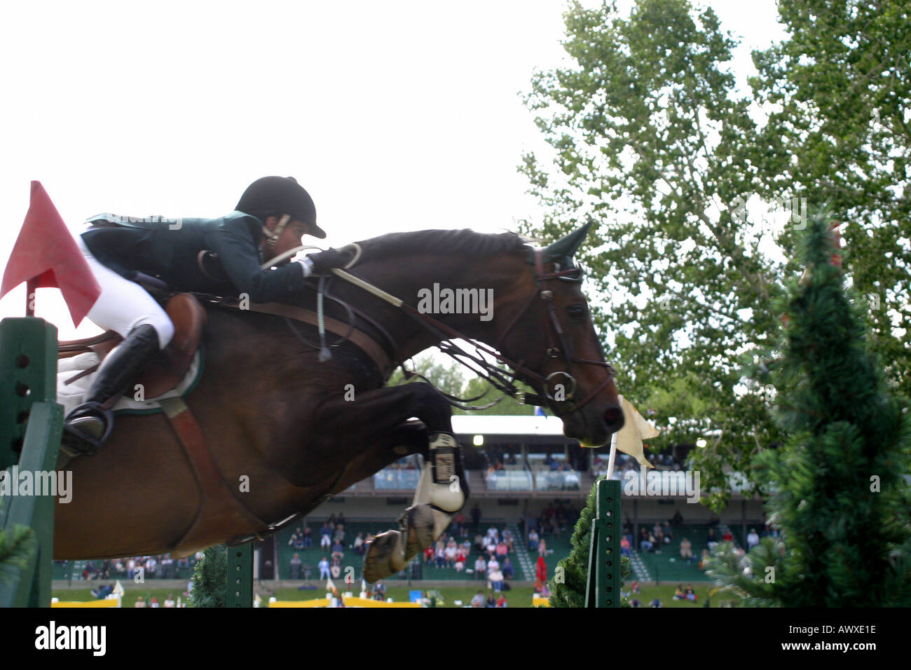 Equestrian international show jumping competition Calgary Alberta ...